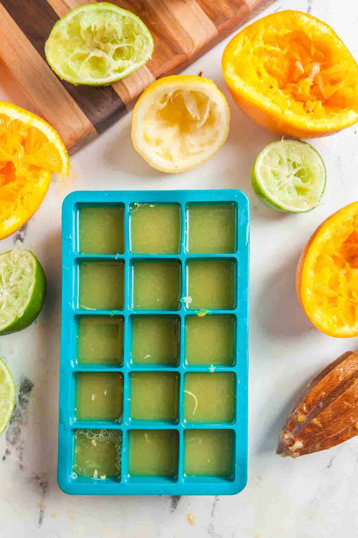 Fresh Fruit Margarita Ice Cubes - The Busy Foodie